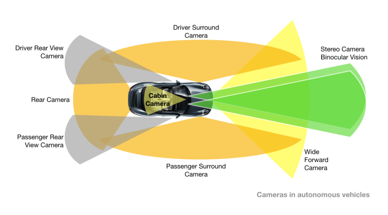 Visual Perception, in Humans, Animals, Machines, and Autonomous ...